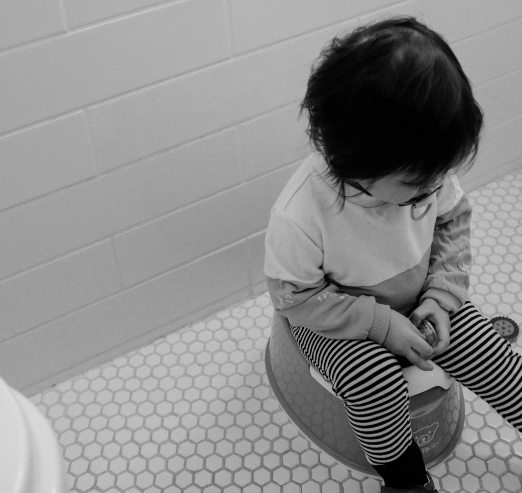 Potty Training: A Milestone in Early Childhood Development at Earlybird ...